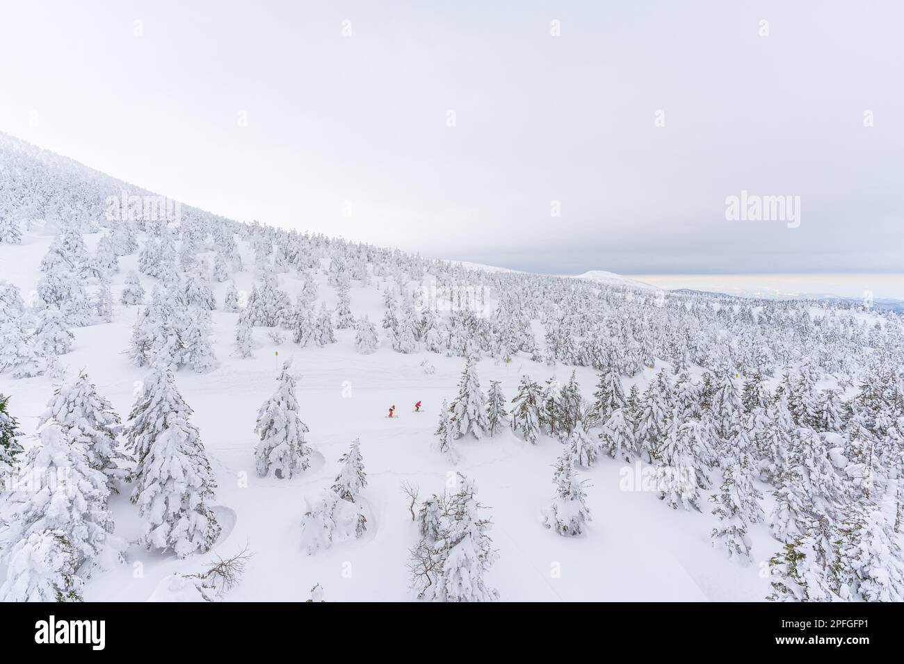 Yamagata frozen forest hi-res stock photography and images - Alamy