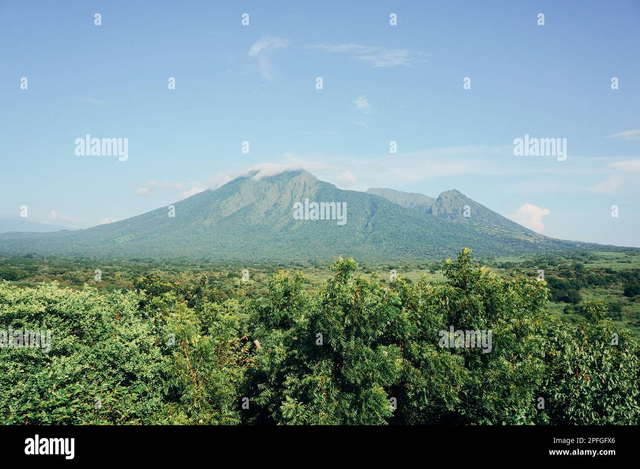 Tropical green forest with Baluran savanna, Situbondo, Indonesia Stock ...