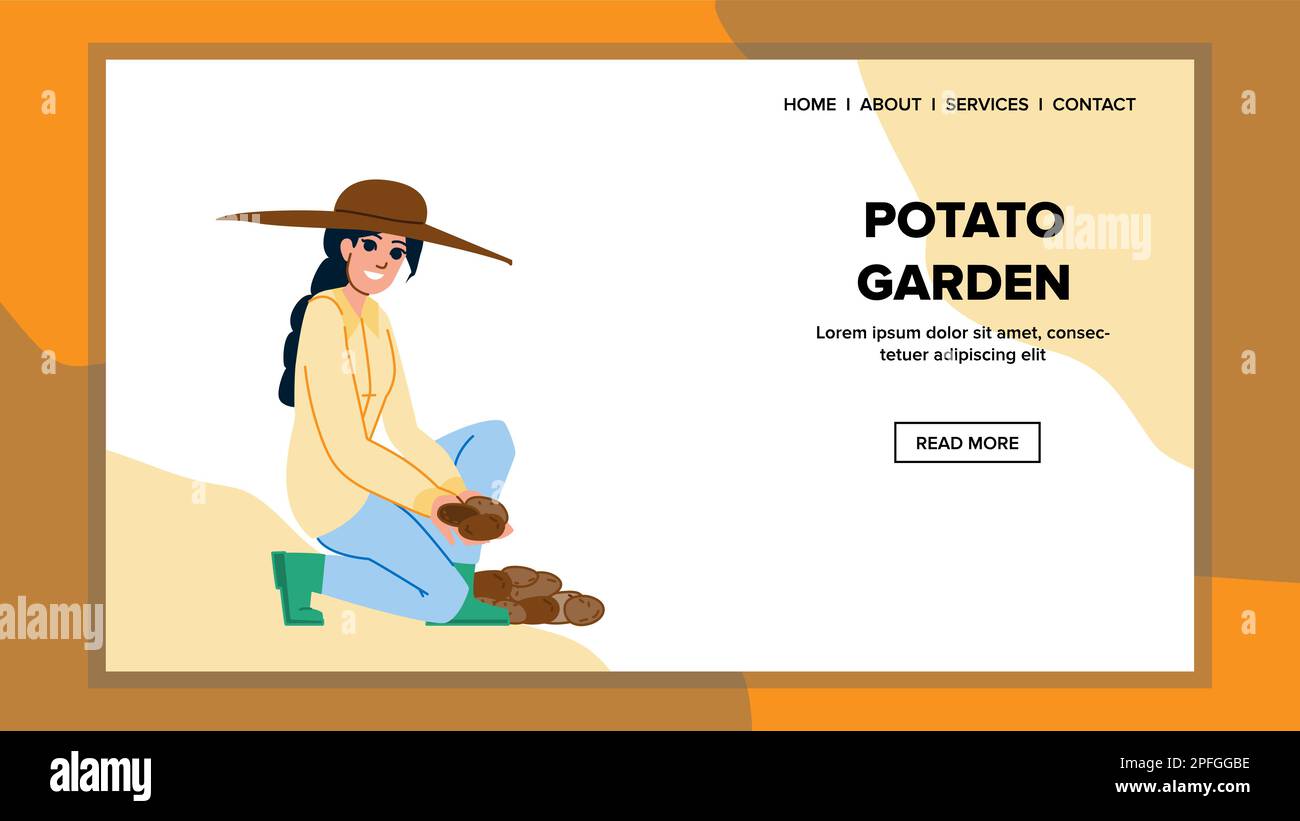 potato garden vector Stock Vector Image & Art - Alamy