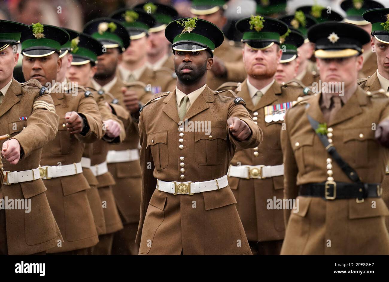 Members of the Irish Guards wear the traditional sprigs of shamrock on ...