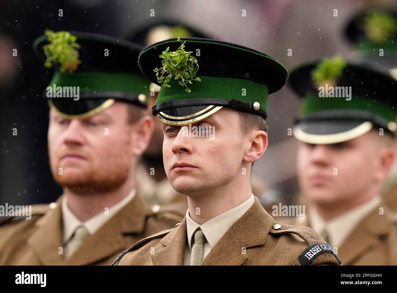 Members of the Irish Guards wear the traditional sprigs of shamrock on ...