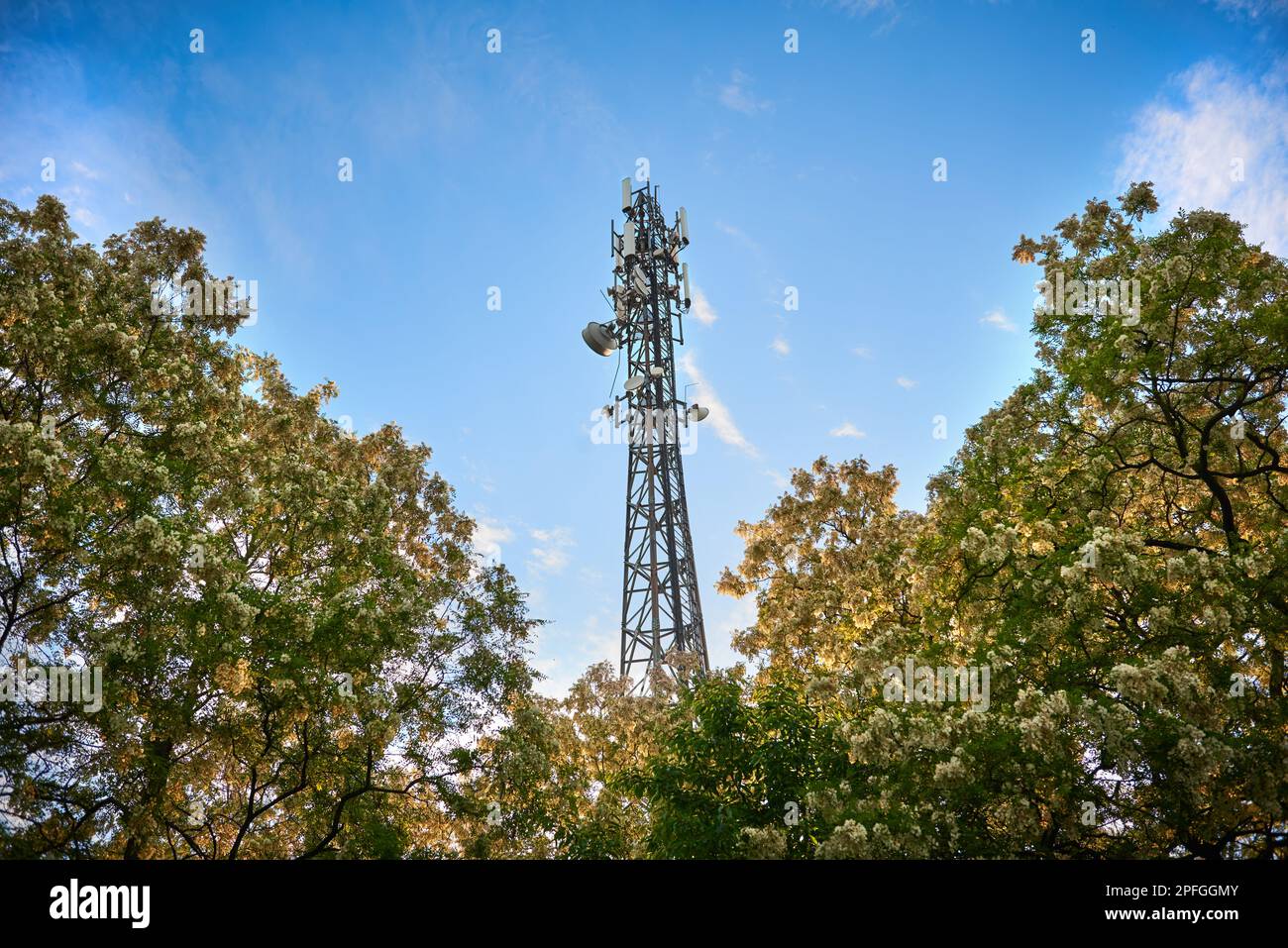 5G transmitter mast against the blue sky between the trees Stock Photo ...