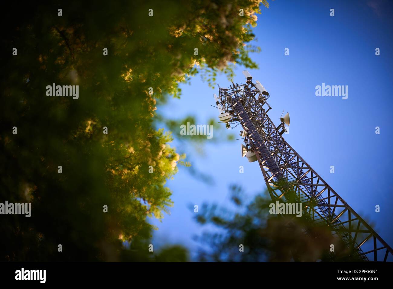 5G transmitter mast against the blue sky between the trees Stock Photo ...