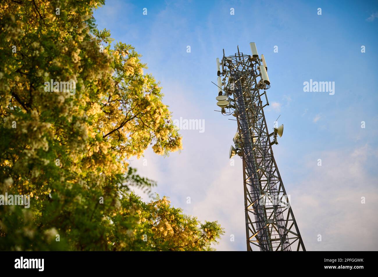 5G transmitter mast against the blue sky between the trees Stock Photo ...