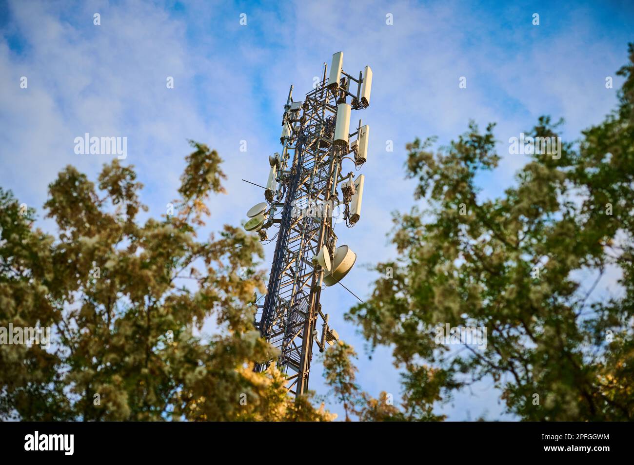 5G transmitter mast against the blue sky between the trees Stock Photo ...