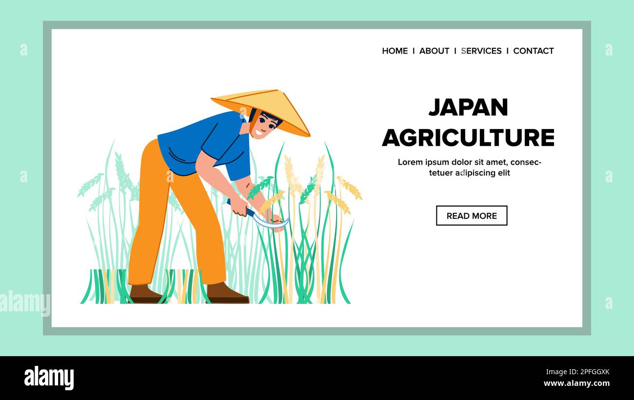 China harvest tractor rice Stock Vector Images - Alamy