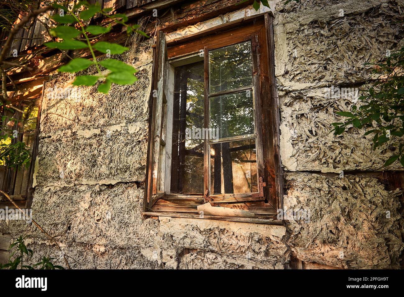 A window in an old dilapidated house among trees and thickets Stock ...