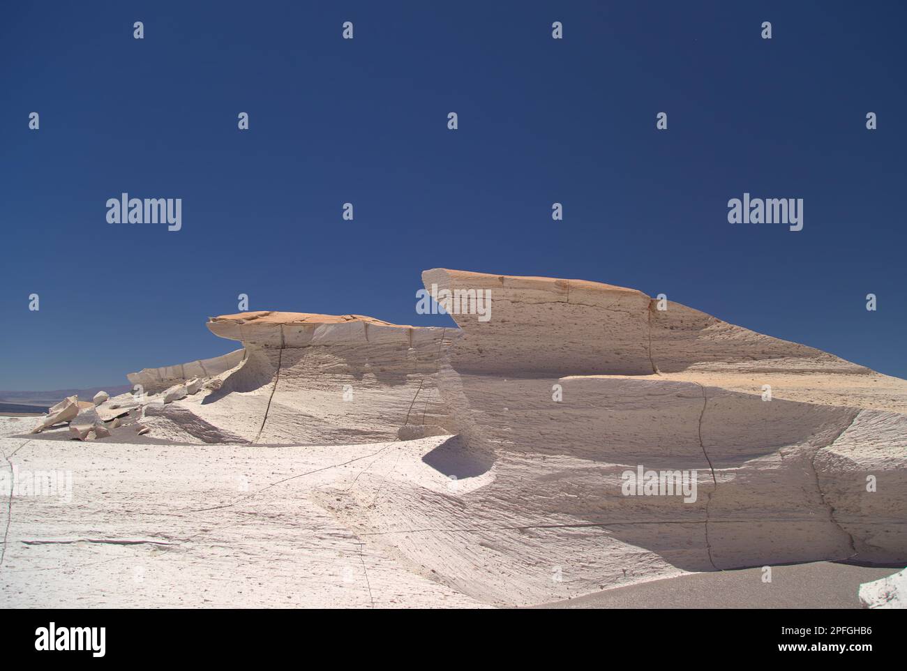 The Pumice Stone Field, in North West Argentina, is unique in the world ...
