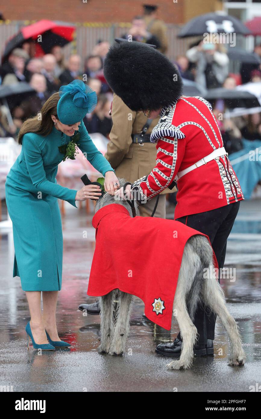 Britain's Kate, the Princess of Wales presents Irish Wolf Hound ...