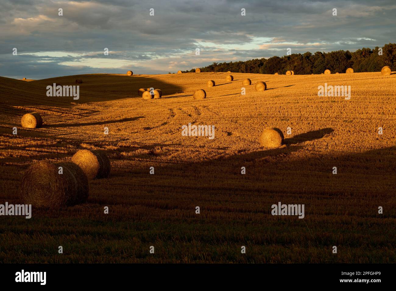 Tractor visible on field hi-res stock photography and images - Alamy