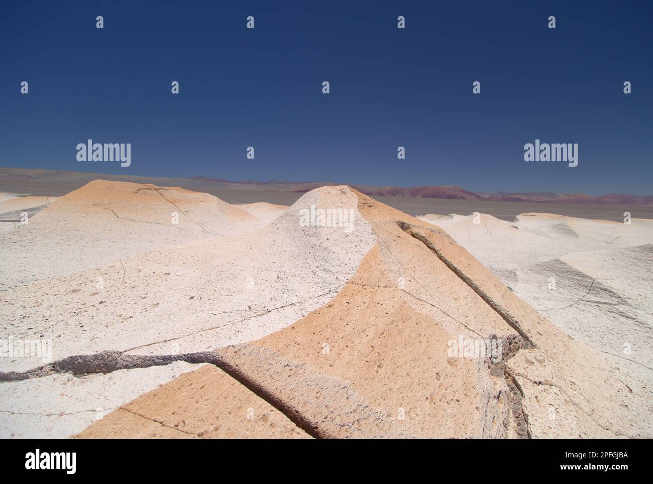 The Pumice Stone Field, in North West Argentina, is unique in the world ...