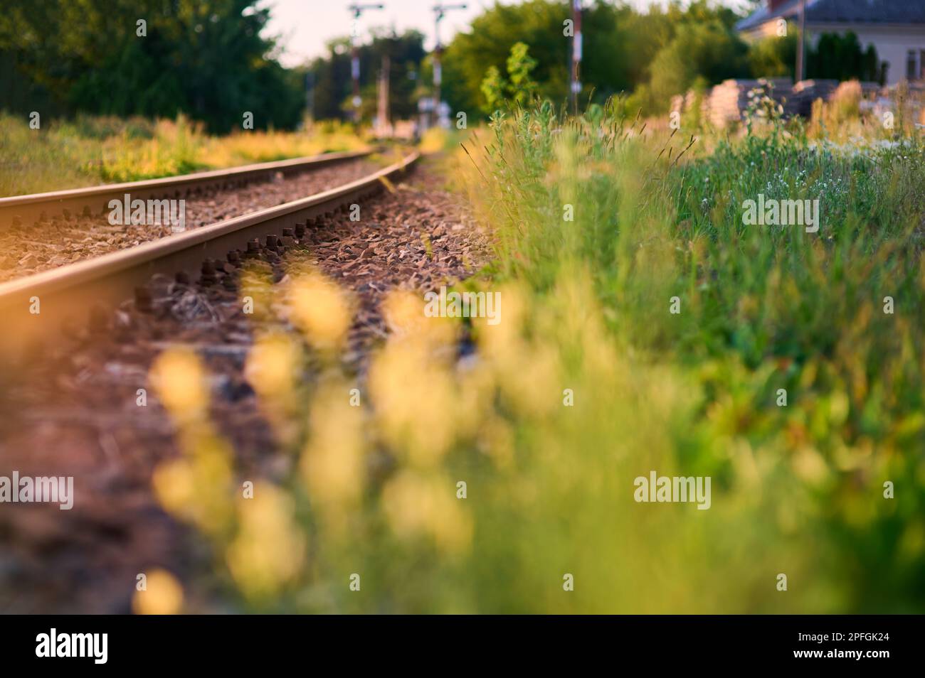 Old railway rails between the grass Stock Photo - Alamy