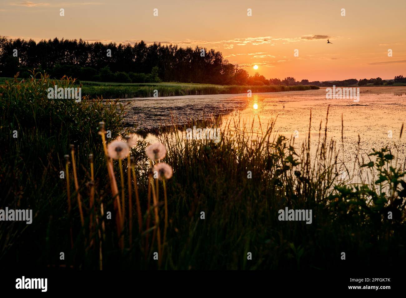 Over retention pond hi-res stock photography and images - Alamy