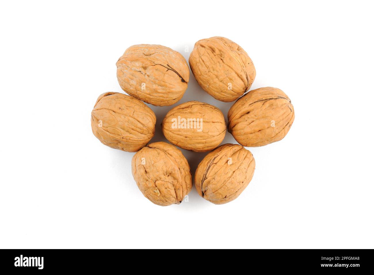 group of fresh nuts isolated on white Stock Photo - Alamy