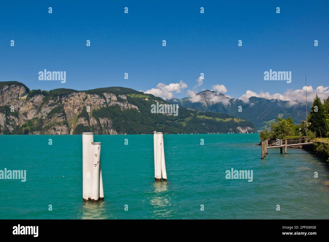 Switzerland, Canton Schwyz, Lucerne lake, Sisikon, landscape Stock ...