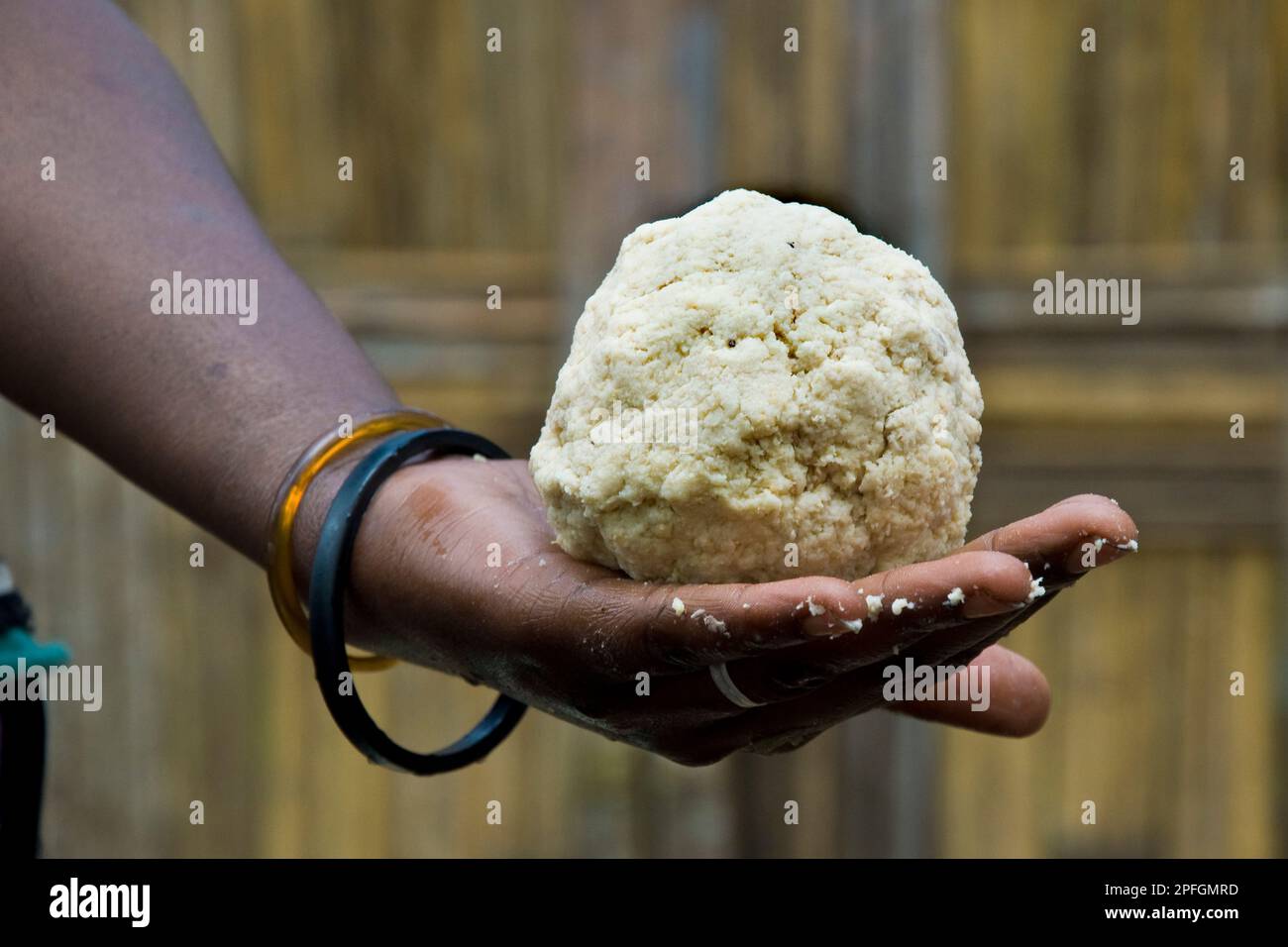 Processing of the false banana, Dorzè village, Chencha, Ethiopia Stock ...