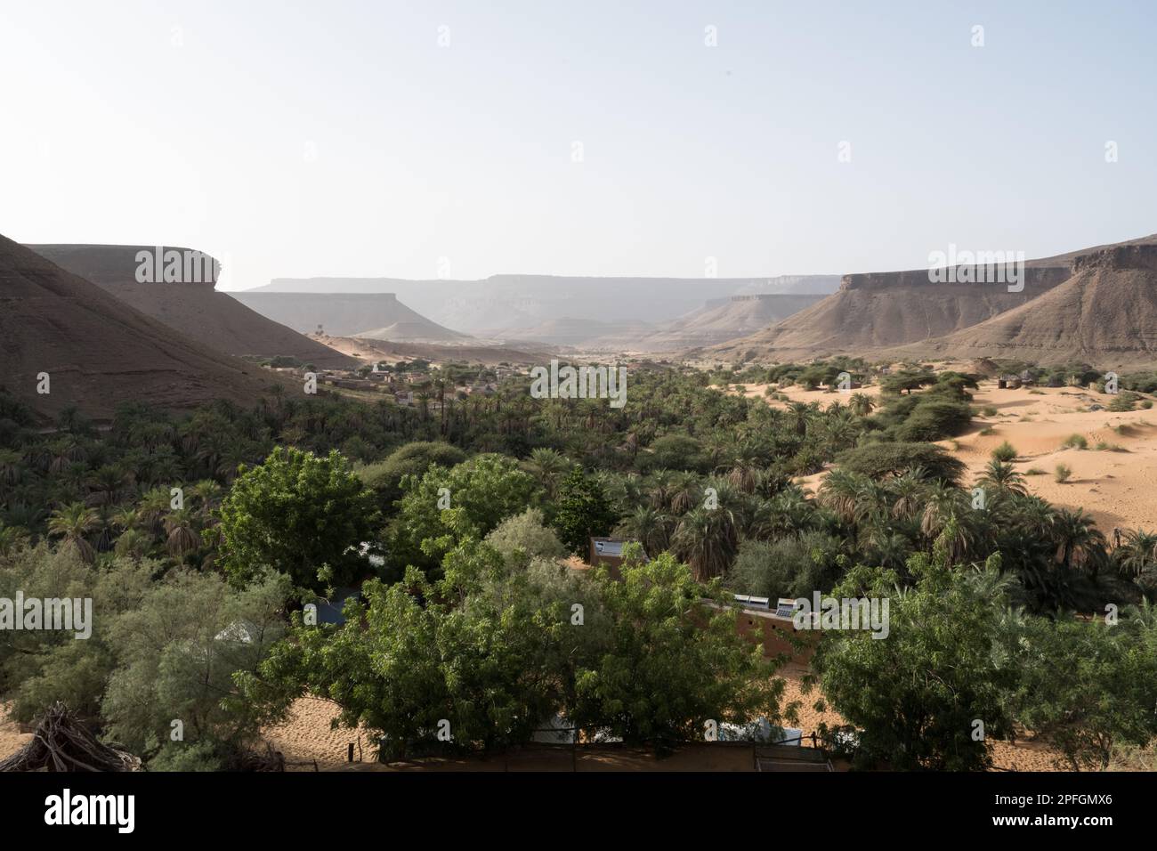 The lush Trejit oasis, with palm trees and greenery, thrives amid the ...