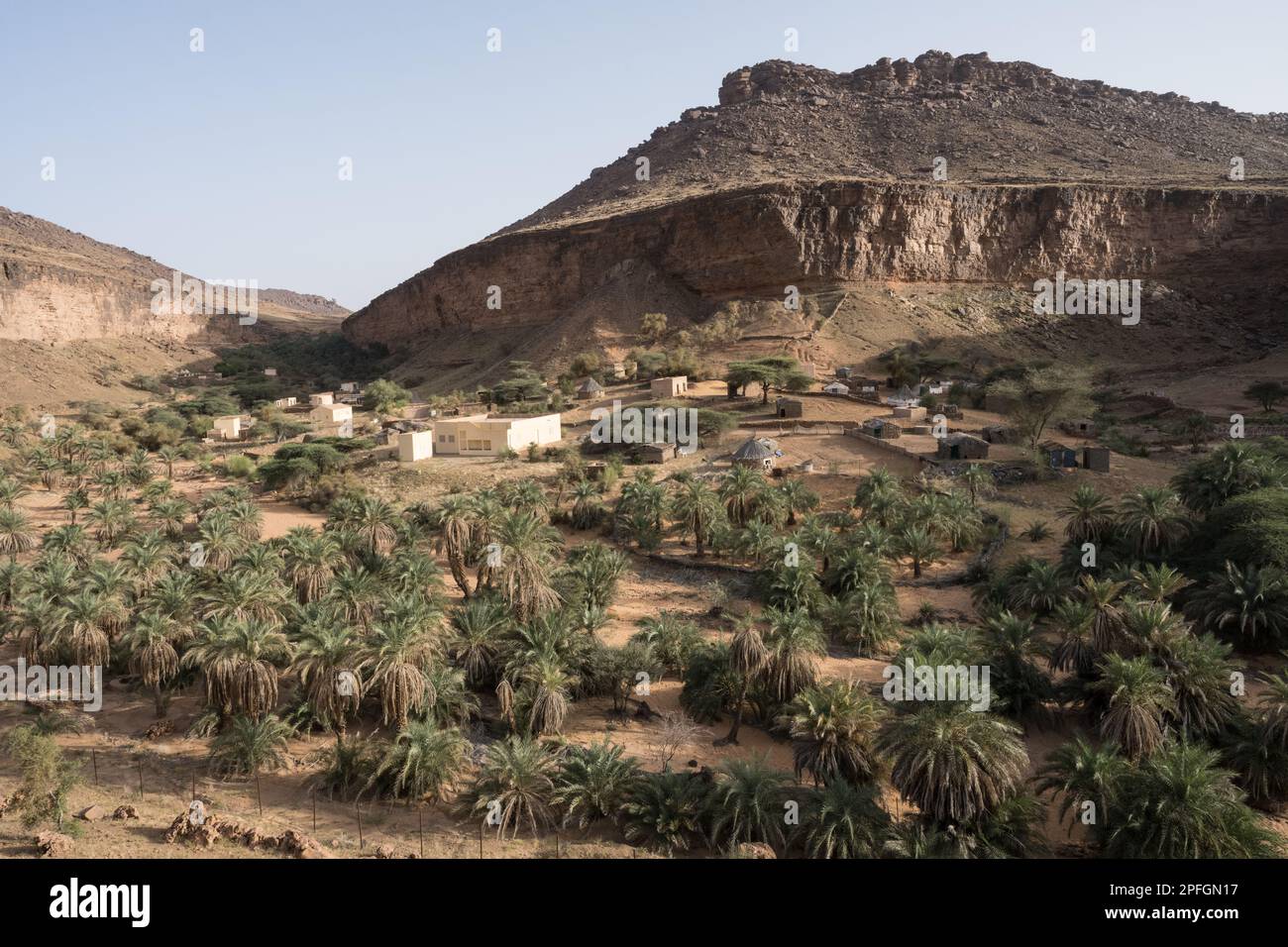 The lush Trejit oasis, with palm trees and greenery, thrives amid the ...
