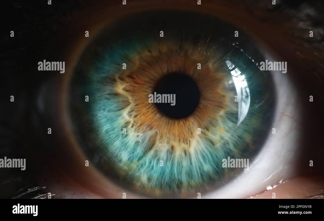 Closeup of green human eye in low light technique Stock Photo - Alamy