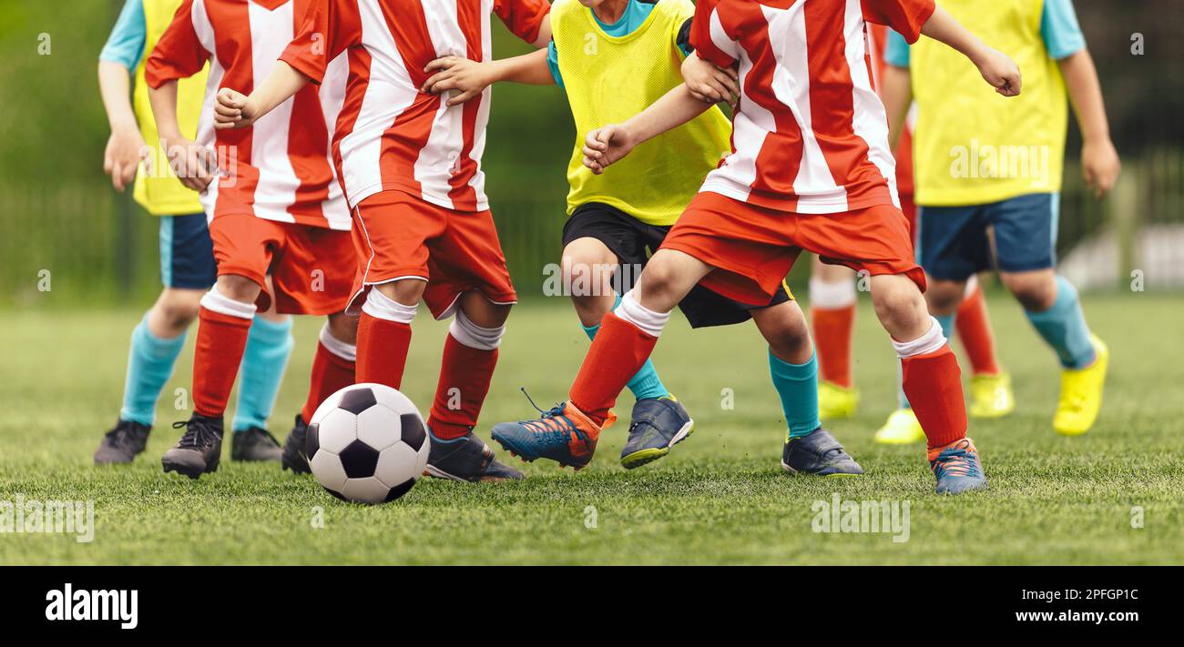 Football soccer children training class. Group of school children ...