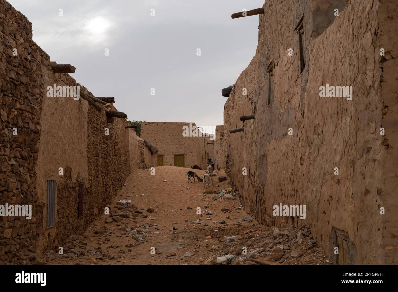 A street in the ancient city of Chinguetti, Mauritania, filled with ...