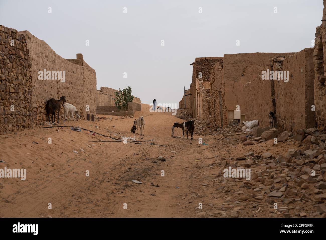 A street in the ancient city of Chinguetti, Mauritania, filled with ...