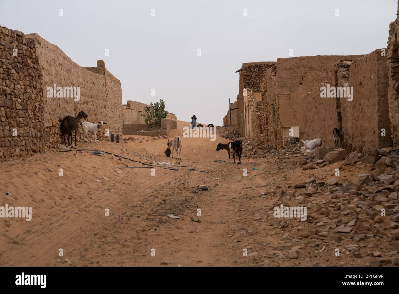 A street in the ancient city of Chinguetti, Mauritania, filled with ...