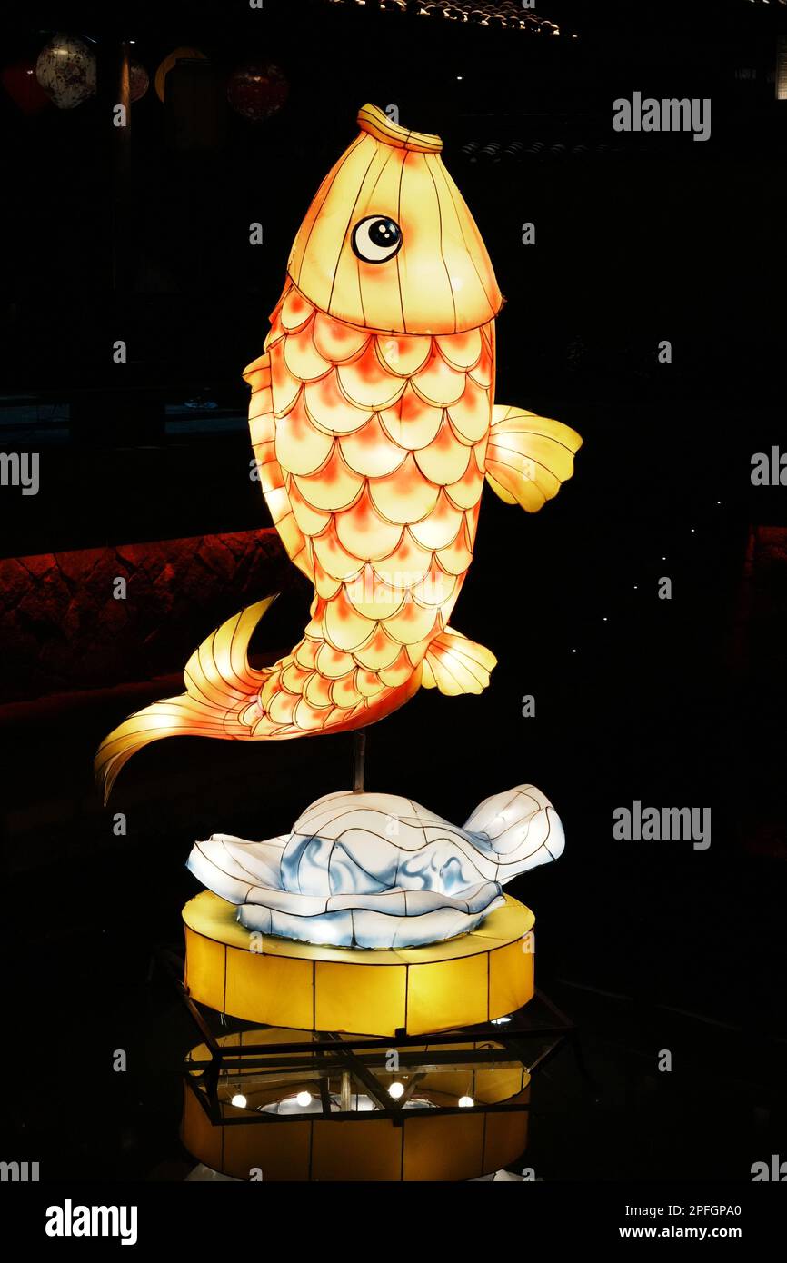 A fish-shaped light with a reflection on the floor Stock Photo - Alamy