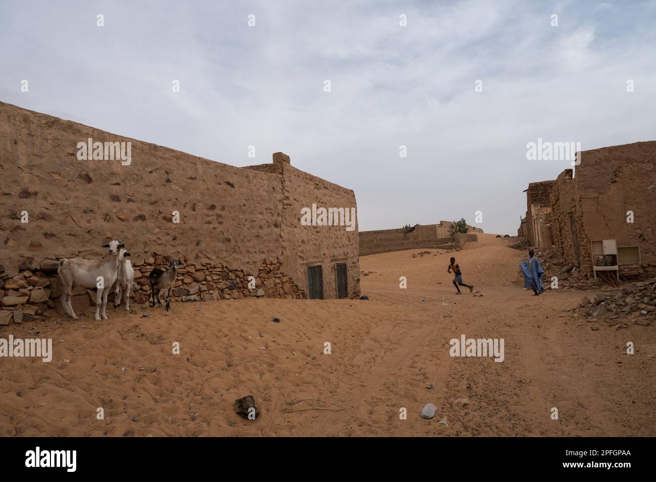 A street in the ancient city of Chinguetti, Mauritania, filled with ...