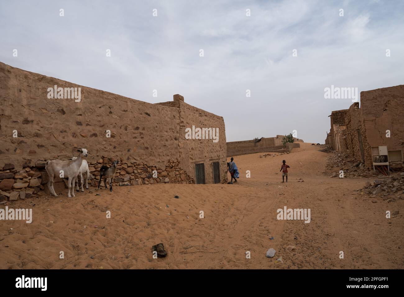 A street in the ancient city of Chinguetti, Mauritania, filled with ...