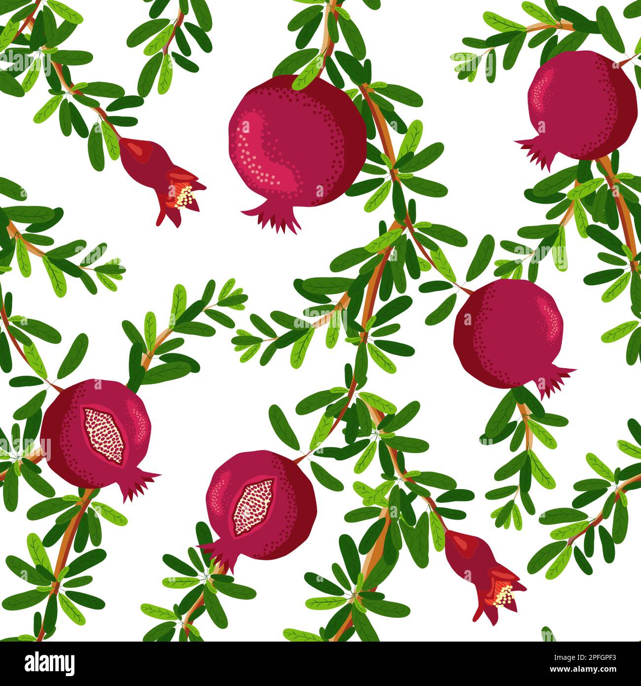 Lobules fruits Stock Vector Images - Alamy