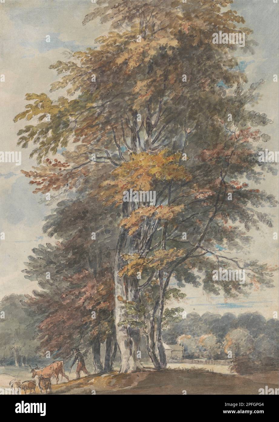 Landscape with beech trees and man driving cattle and sheep by Paul ...