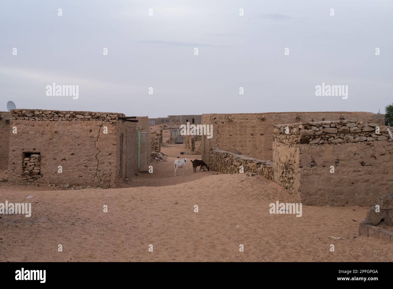 A street in the ancient city of Chinguetti, Mauritania, filled with ...