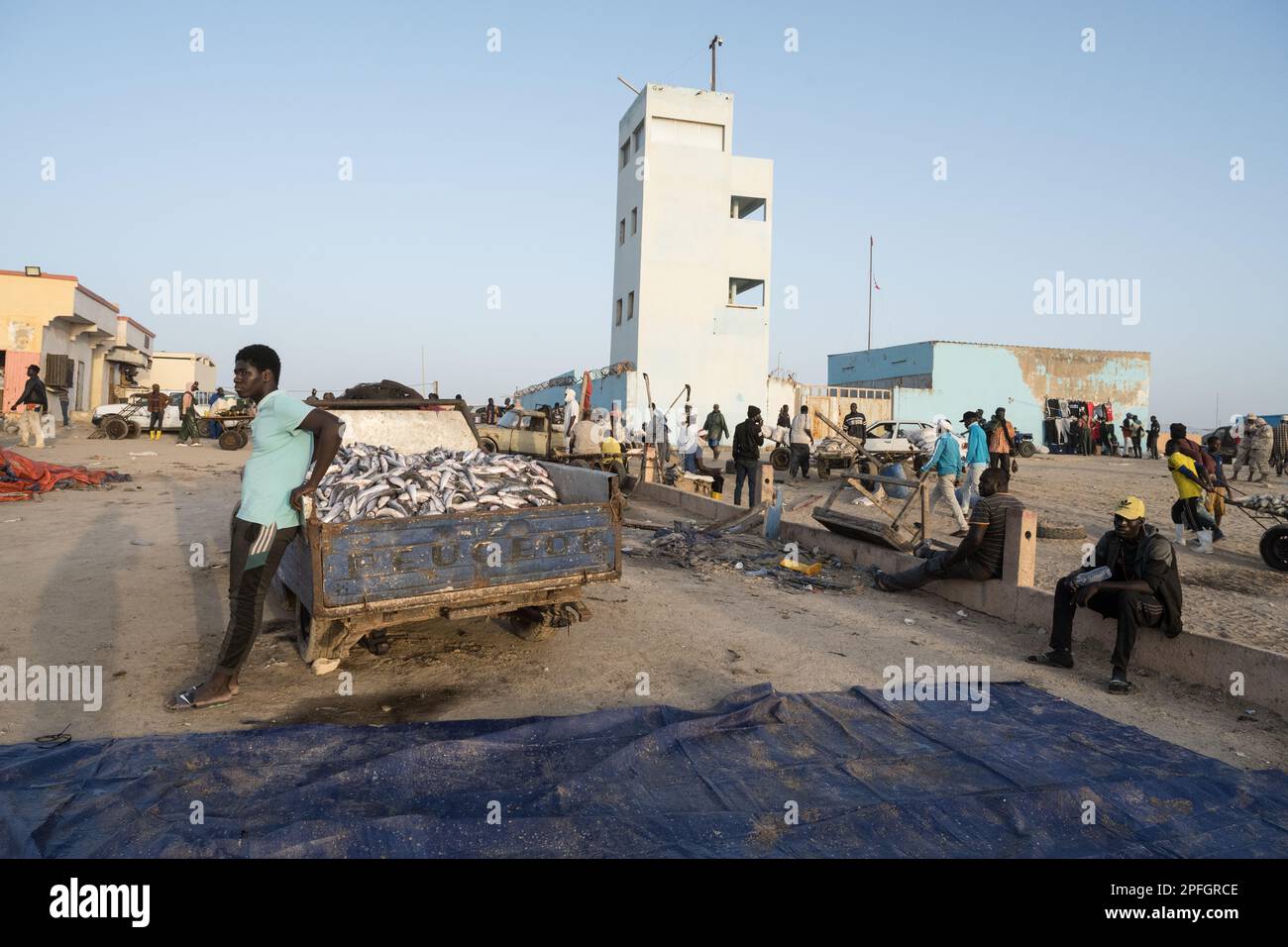 African fishermen with a truckload of fish. Port de Peche, Nouakchott's ...