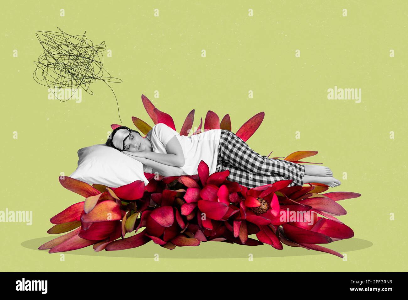 Conceptual collage photo girl sleeping on bed made of red flowers have ...
