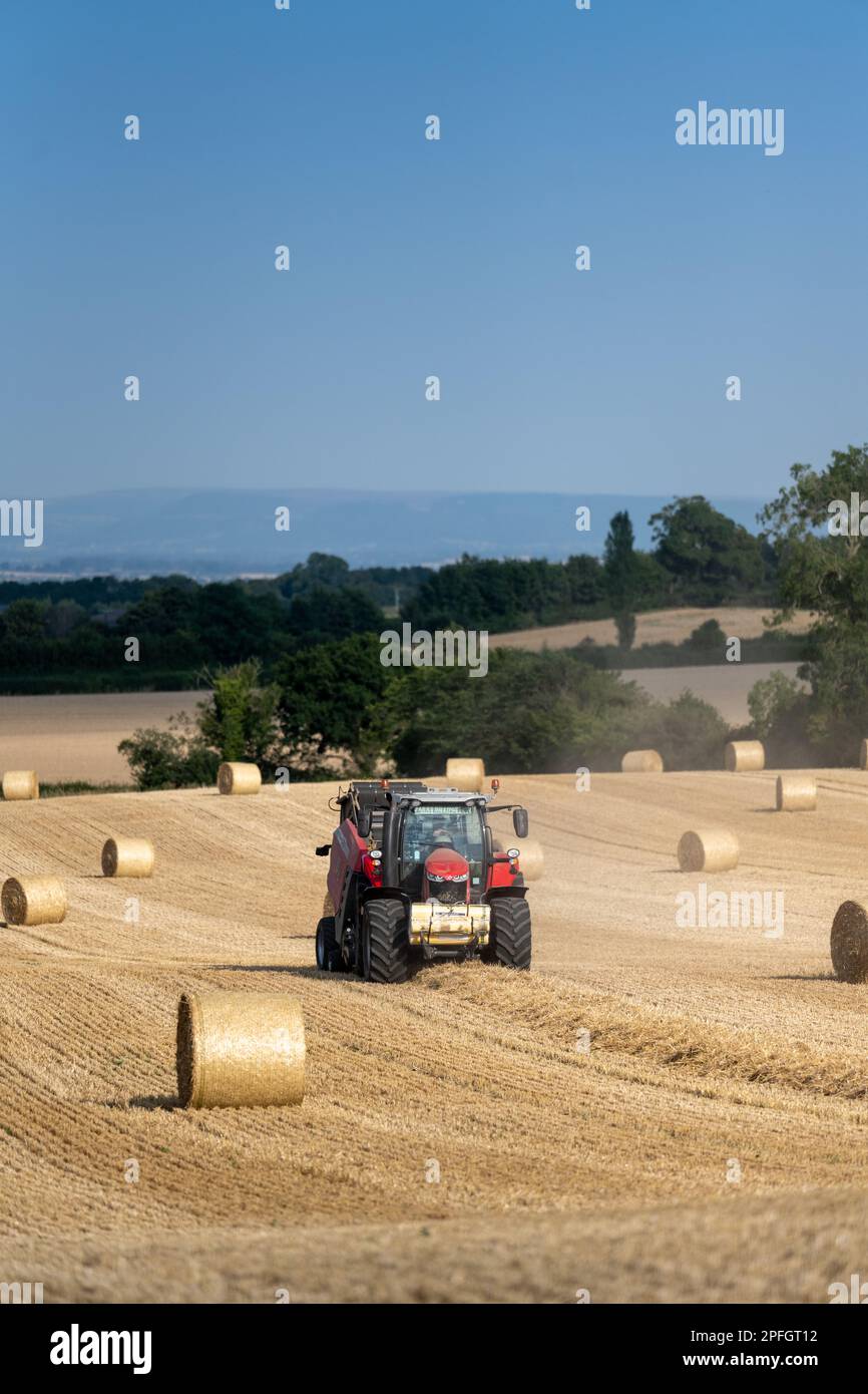 Baling straw into round bales with a Massey Ferguson 7726 tractor and a ...