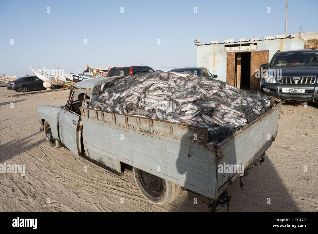 African fishermen with a truckload of fish. Port de Peche, Nouakchott's ...