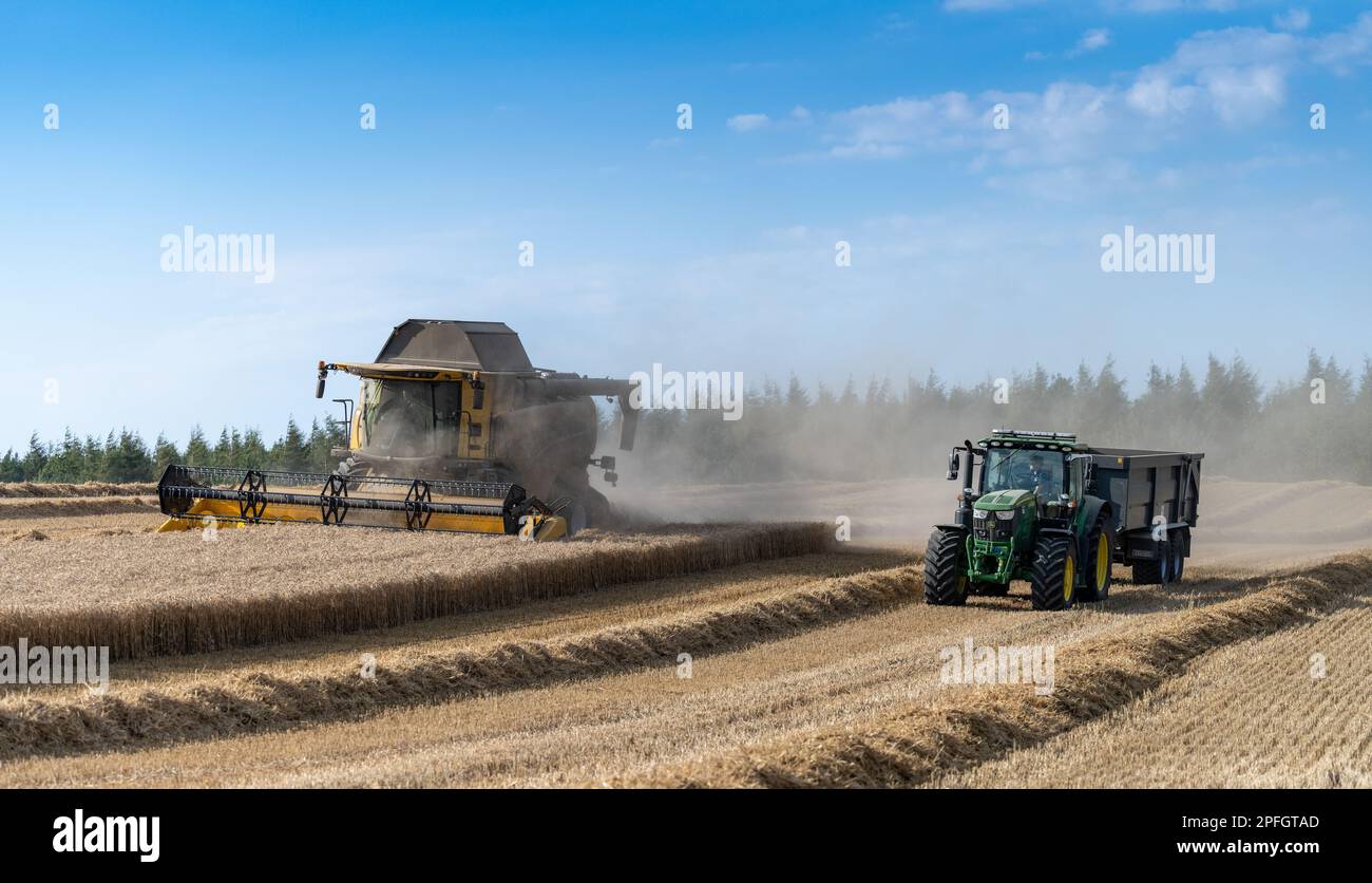 Tractor and trailer driving alongside a combine harvester waiting to ...