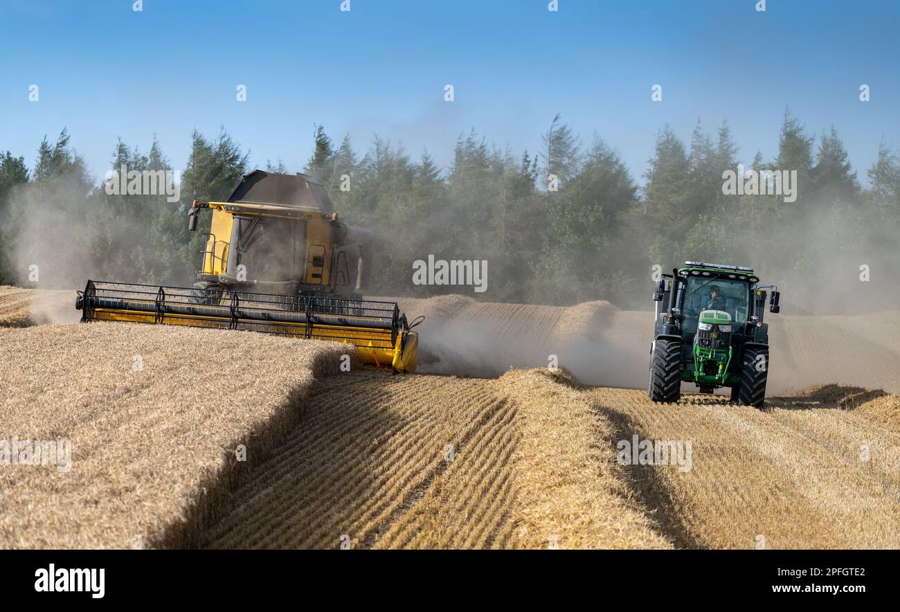 Tractor and trailer driving alongside a combine harvester waiting to ...