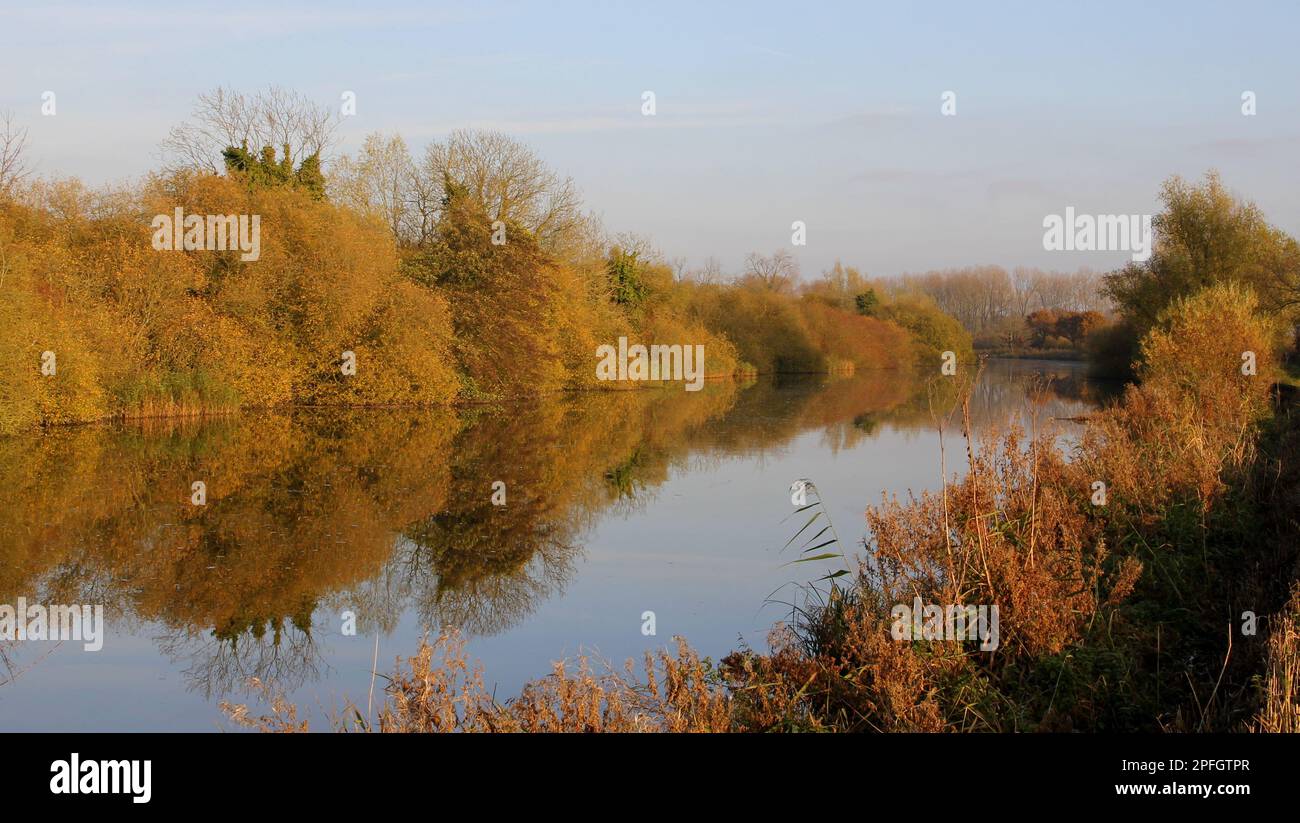 The River Waveney in Suffolk, England, during Autumn Stock Photo - Alamy