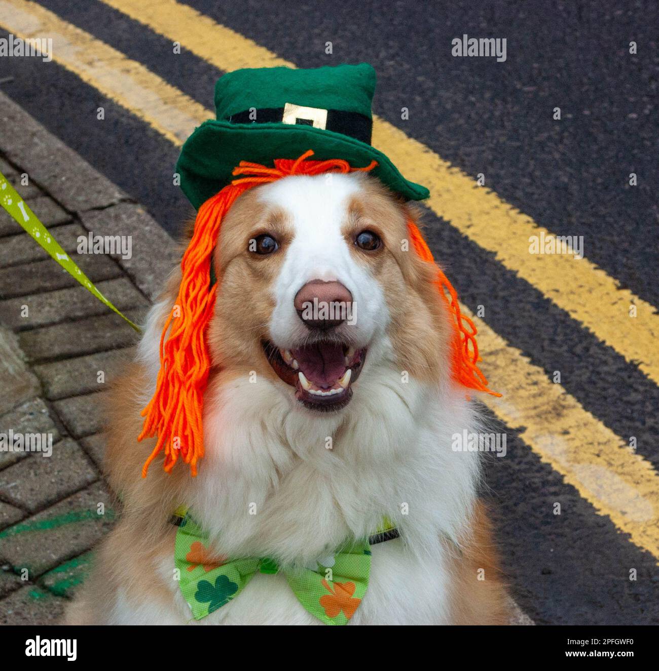 Friday 17 Mar 2023 Bantry West Cork, Ireland; Bantry held it’s St ...
