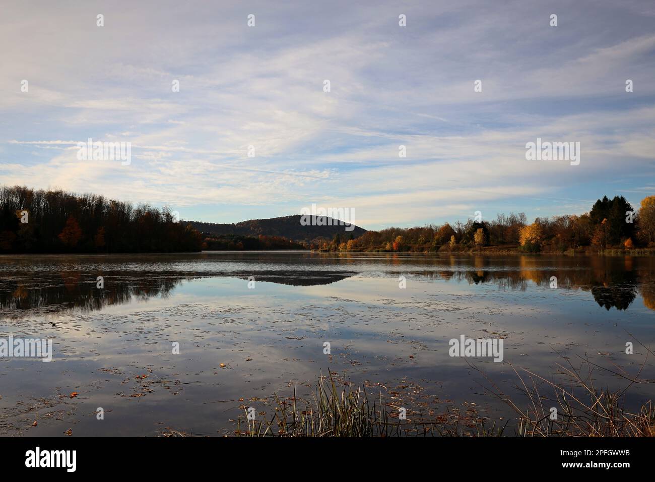 Early morning lake in PA Stock Photo - Alamy