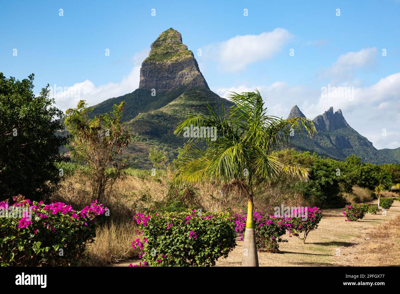 Rempart mountain surrounded by flowering bushes, Tamarin, Mauritius ...