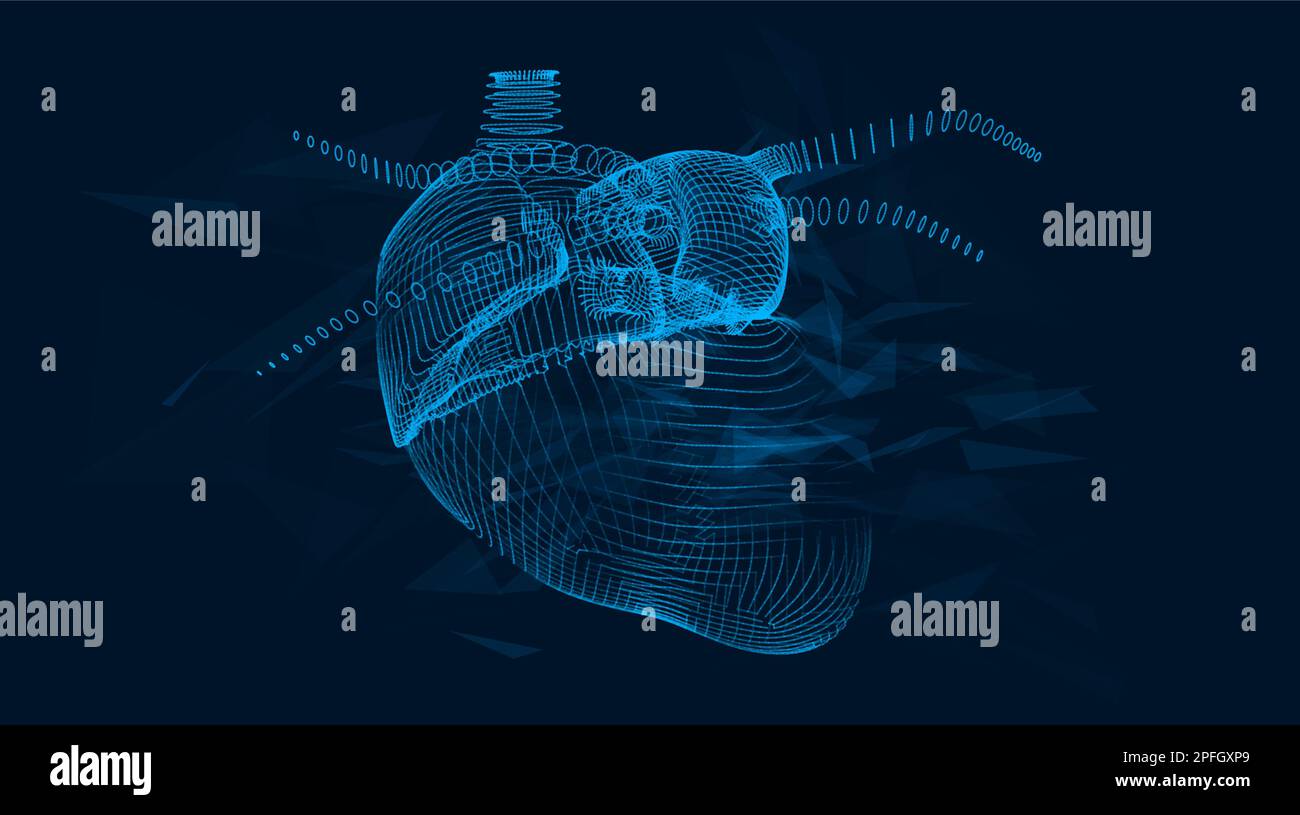 Human Heart polygonal line and point. Low poly health care vector ...