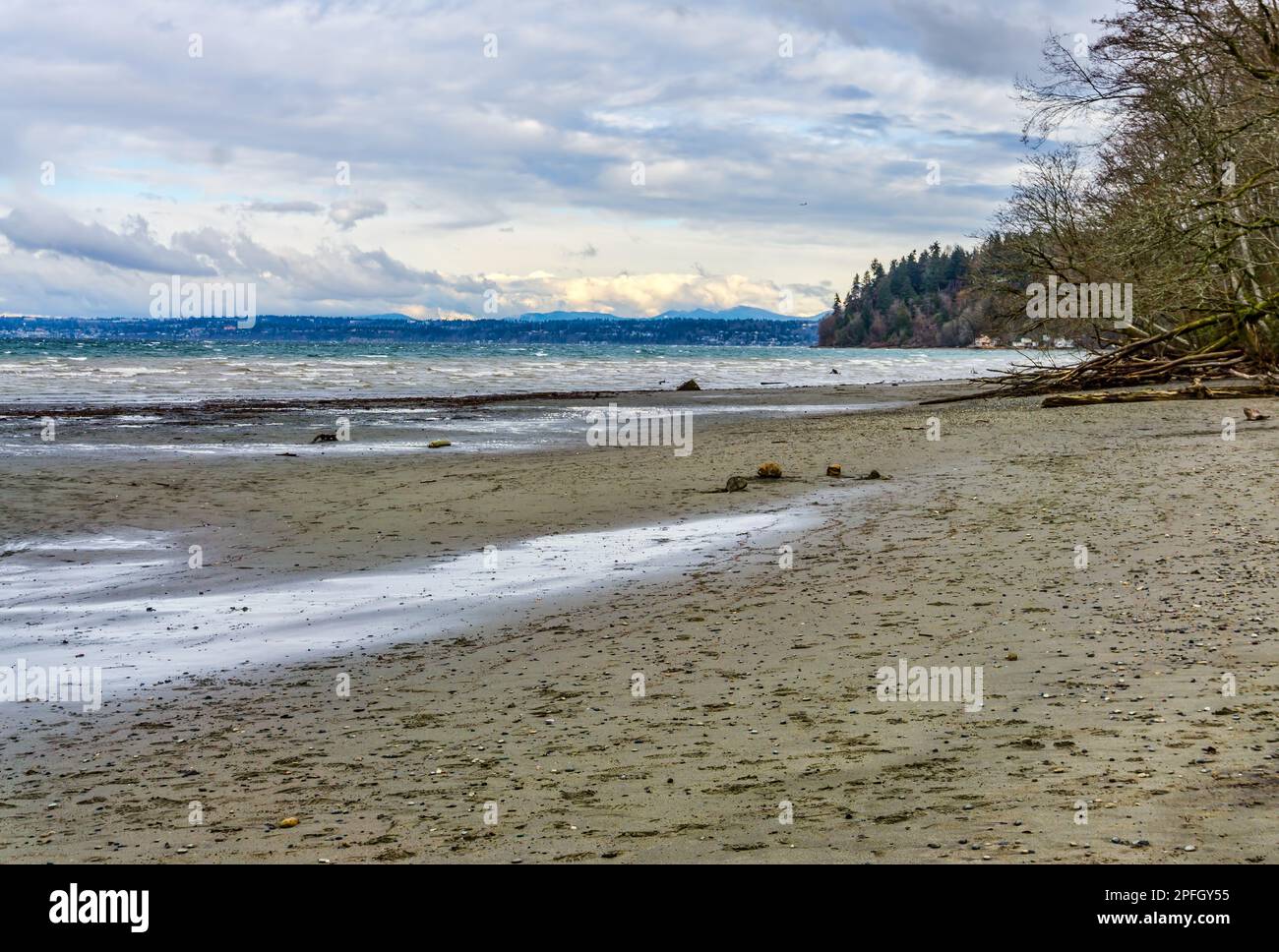 A view of the Puget Sound shoreline on a windy day at Dash Point State ...