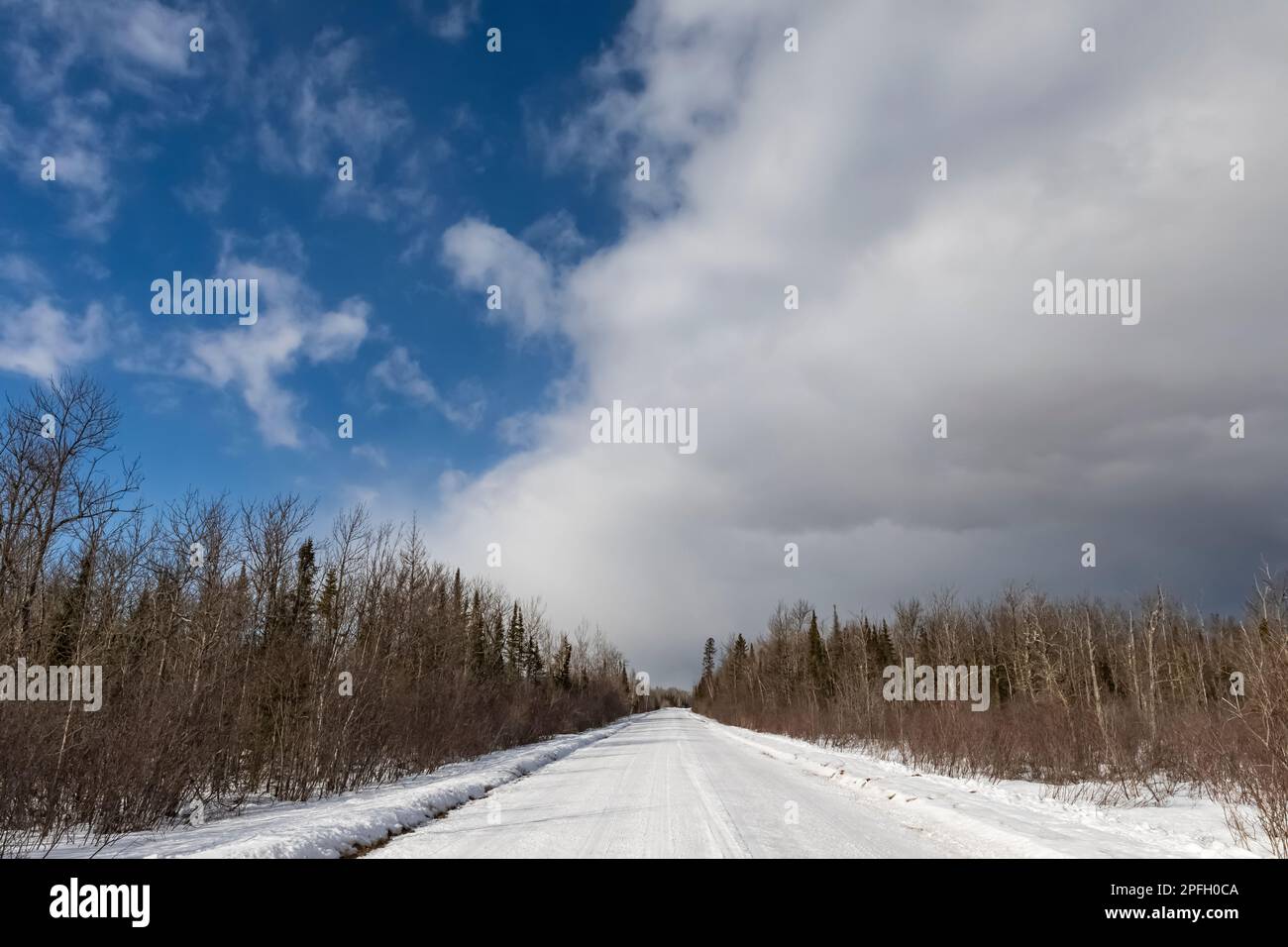 Snow-covered road leading through the wetlands and forest of Sax-Zim ...