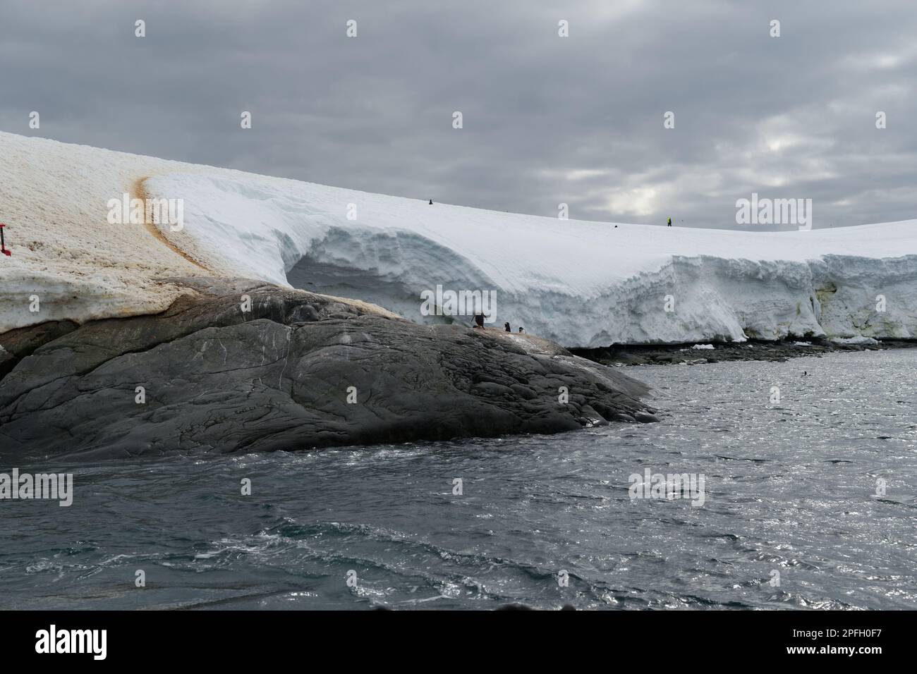 Charcot island hi-res stock photography and images - Alamy