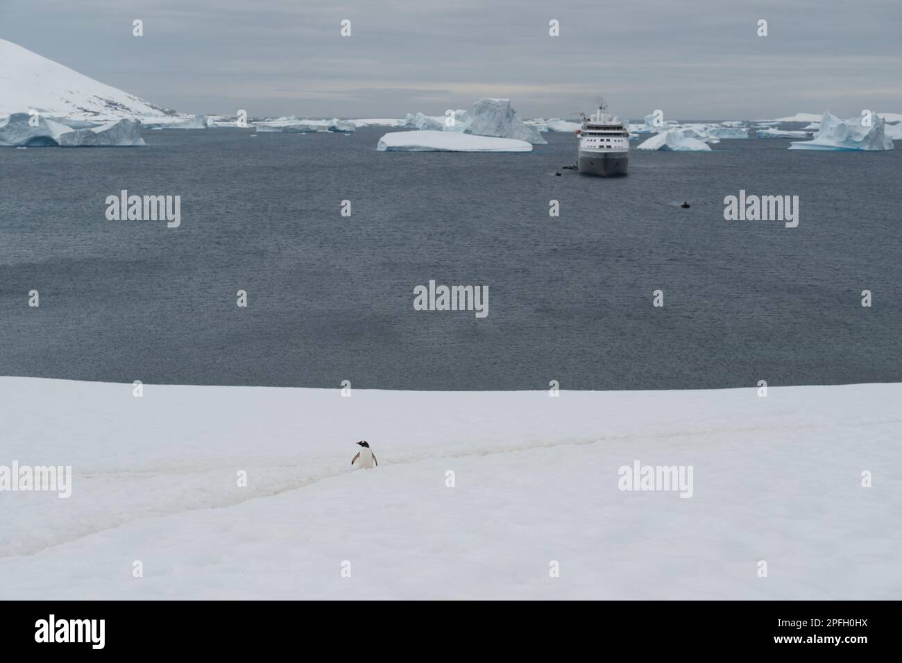 cruise ship landing tourists onto Booth Island - Antarctica Stock Photo ...