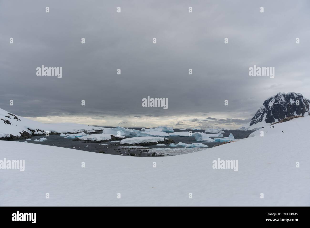 Charcot iceberg hi-res stock photography and images - Alamy