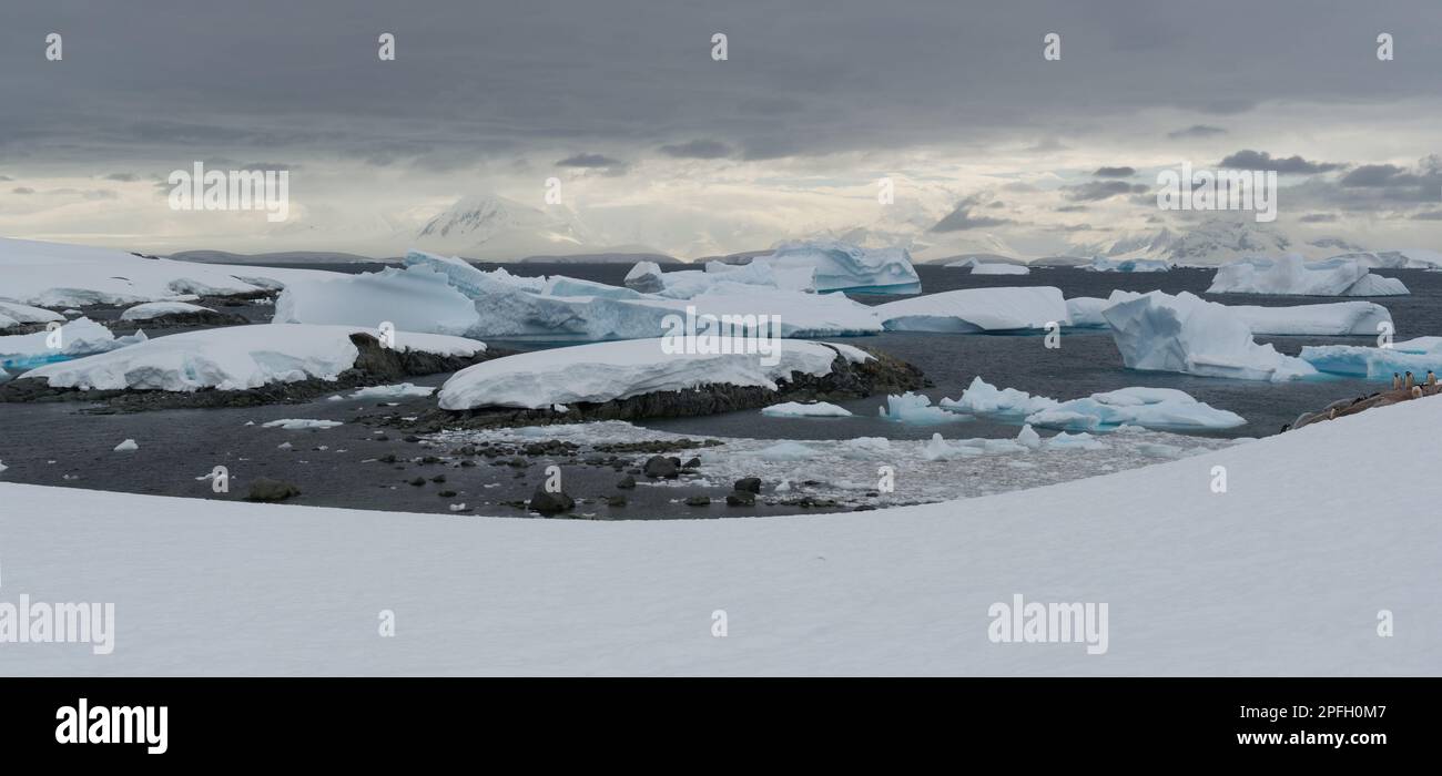 icebergs in a bay off Booth island - Antarctica Stock Photo - Alamy